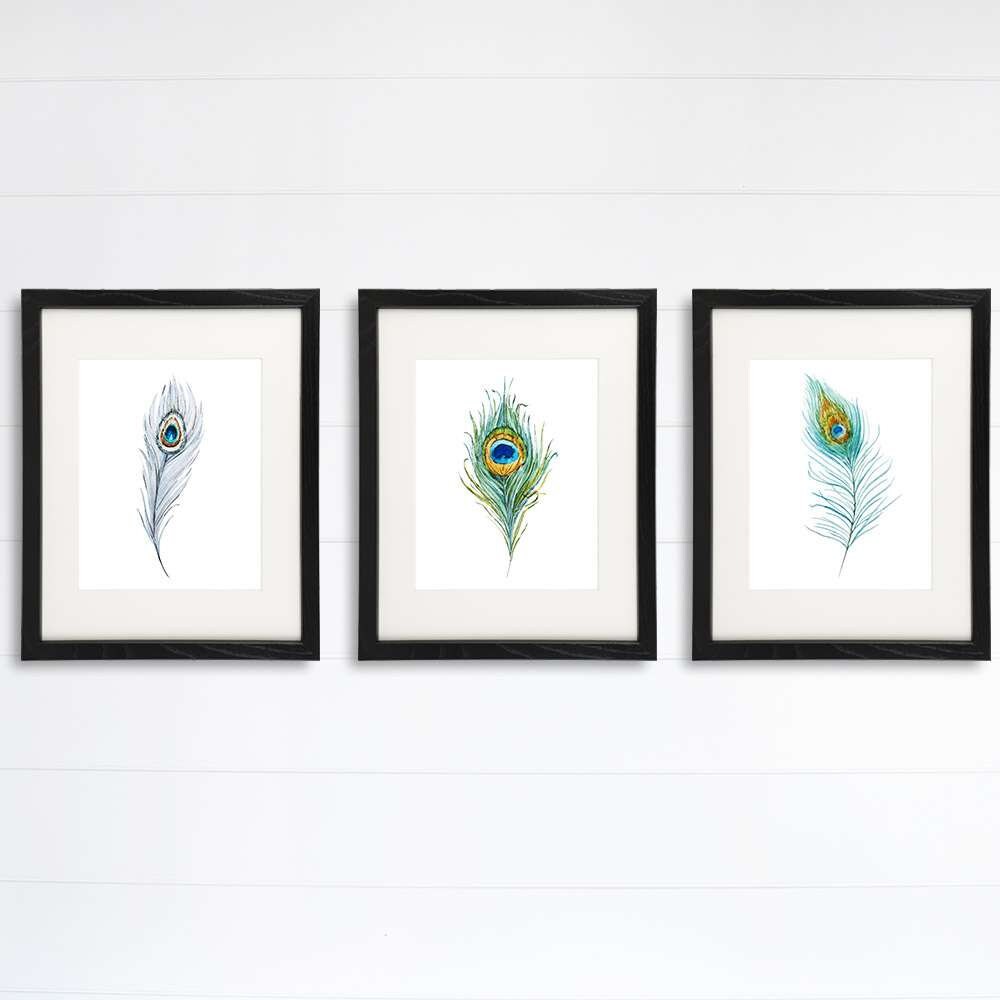 Peacock Feathers Wall Art Prints Set of 3 8x10s | Etsy