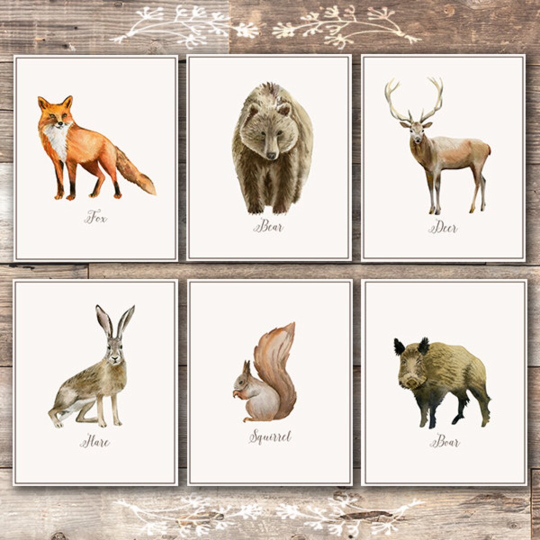 Vintage Woodland Animals Art Prints set of 6 8x10s - Etsy