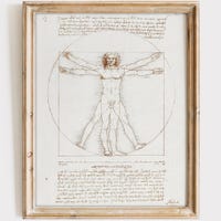 10+ VIRTUVIAN MAN SVG Bundle, Vitruvian Man Silhouette Svg, Eps ...