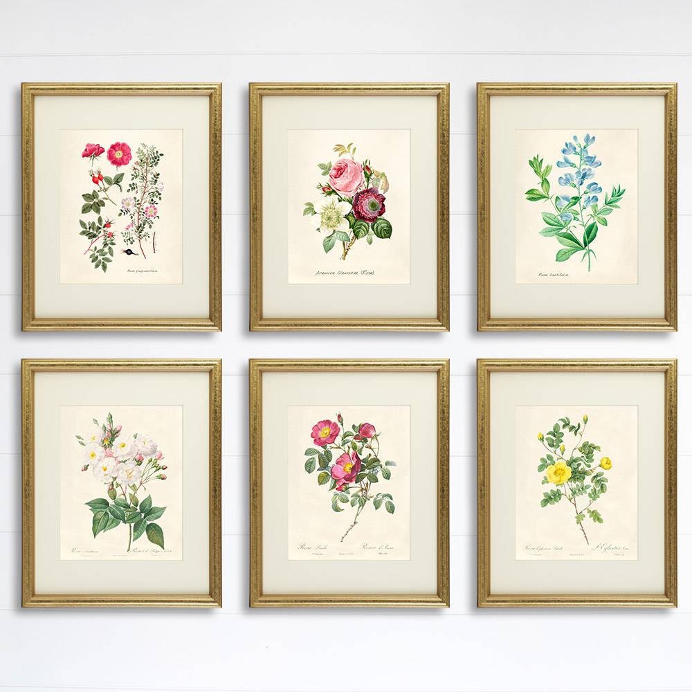 Vintage Roses Wall Art Prints set of 6 8x10s Botanical | Etsy
