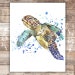 Sea Turtle Wall Art Print 8x10 Beach Wall Decor | Etsy