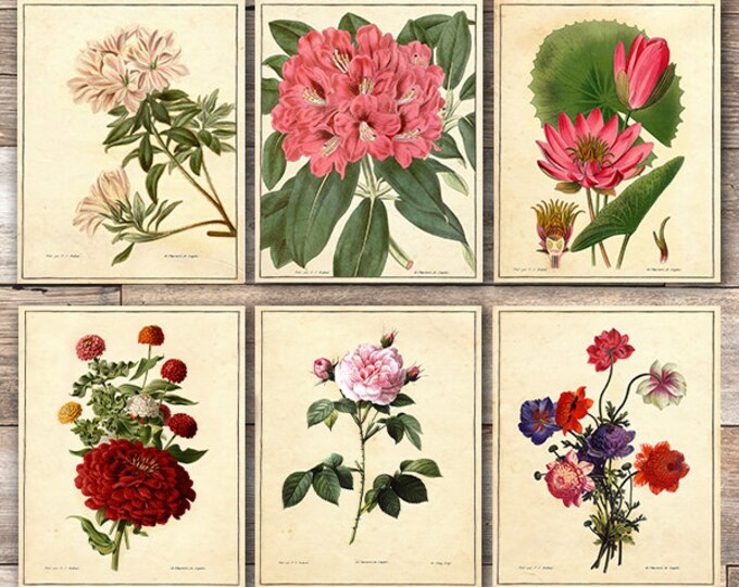 Vintage Botanical Flowers Art Prints set of 6 8x10s - Etsy