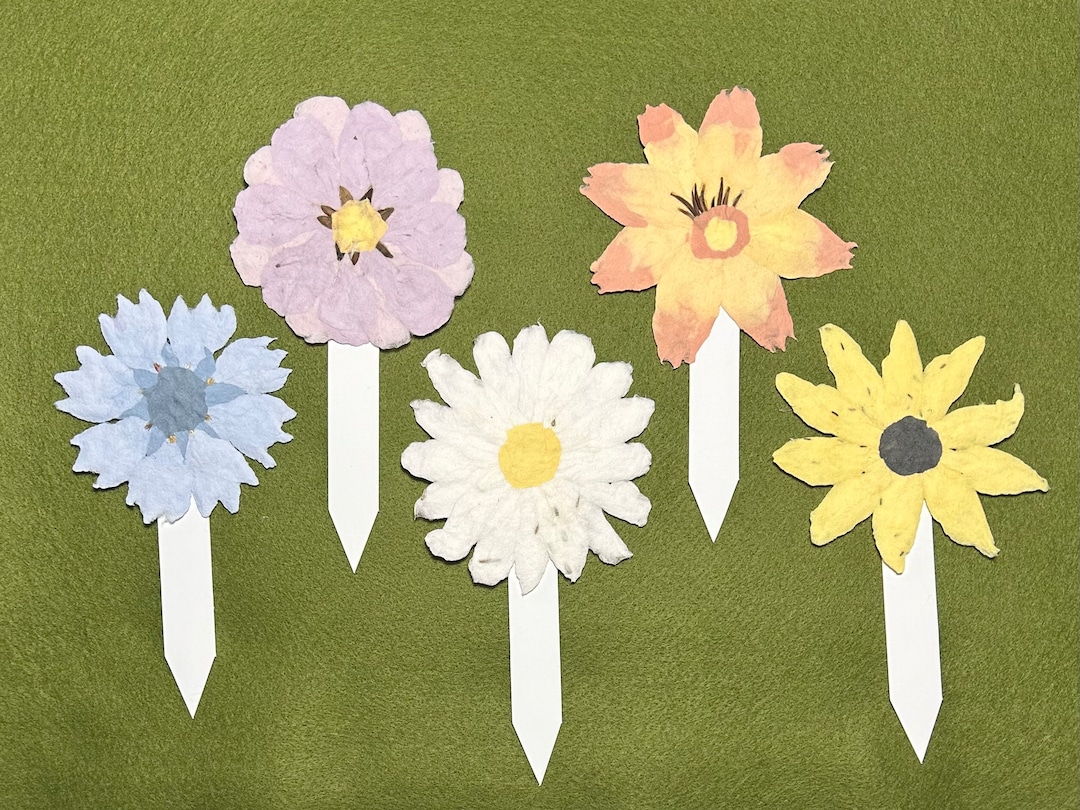 Handmade Seed Paper Flower Shapes, Pink Purple White Yellow Orange ...