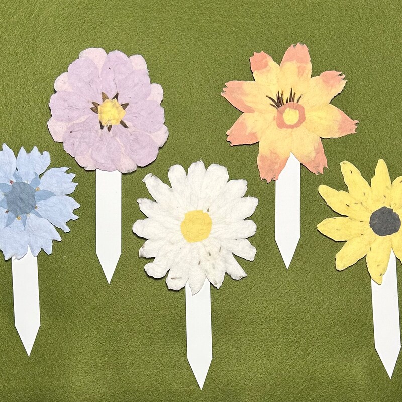 Seed Paper Favors - Etsy