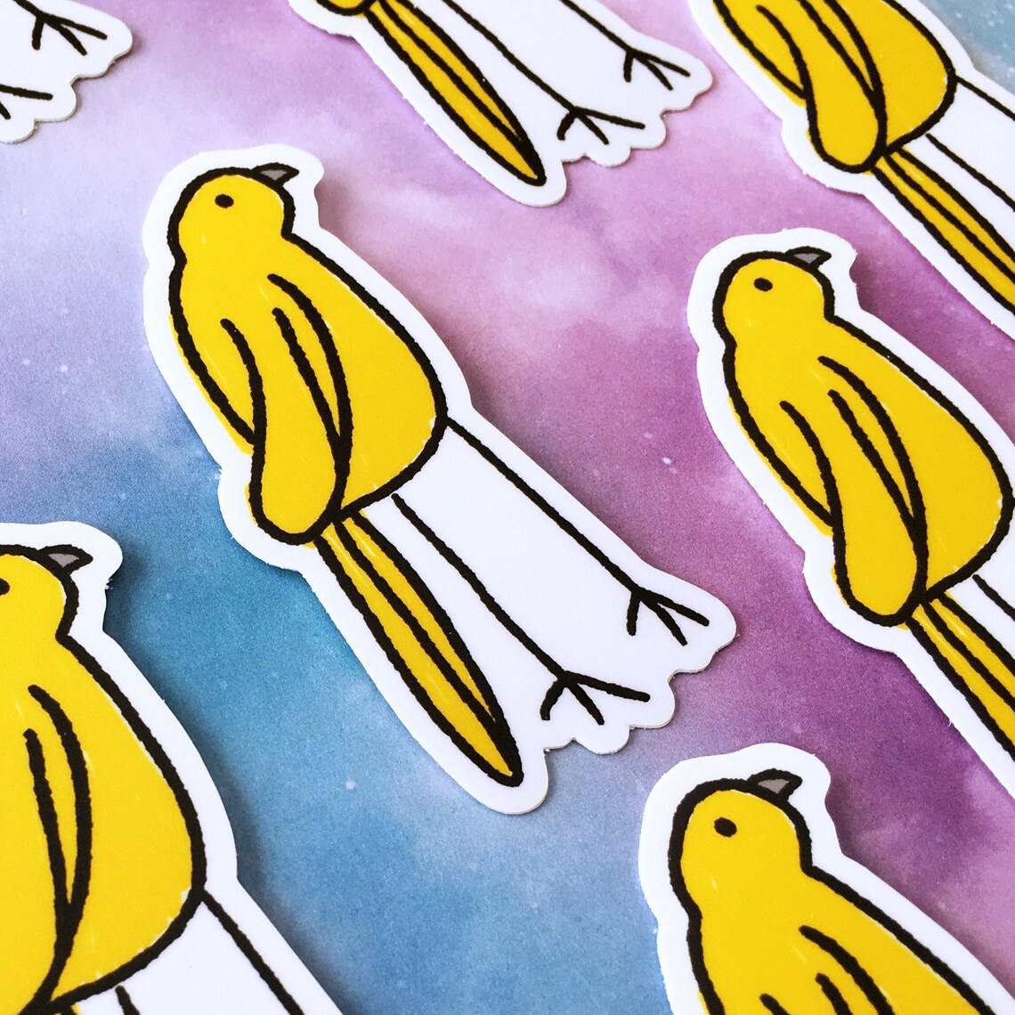 Optimist Bird Sticker Laptop Stickers Vinyl Sticker Water | Etsy