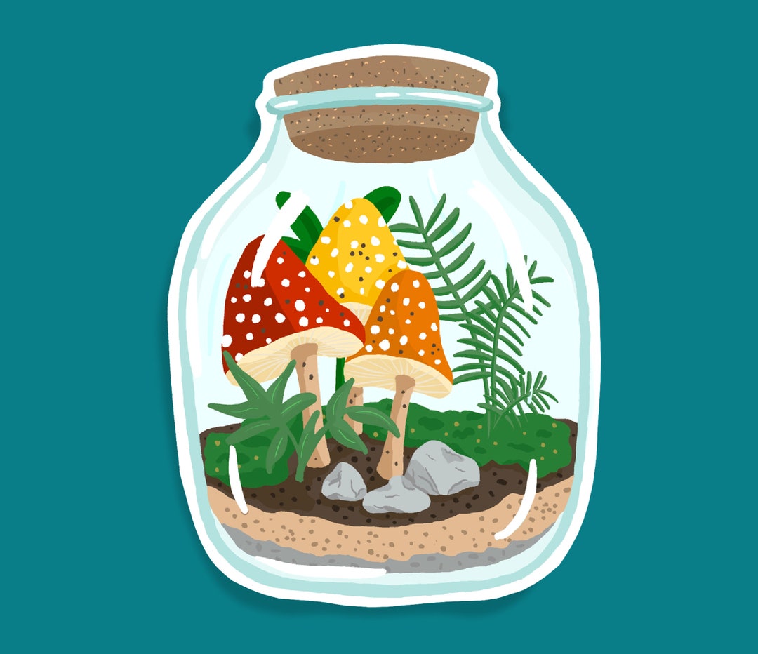Mushroom Terrarium Sticker – Waterproof Vinyl Decal - Etsy