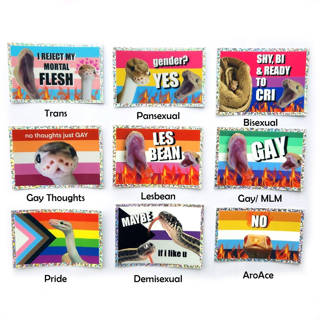 Pride Ball Python Snake Sticker & Lesbian Sticker - Etsy