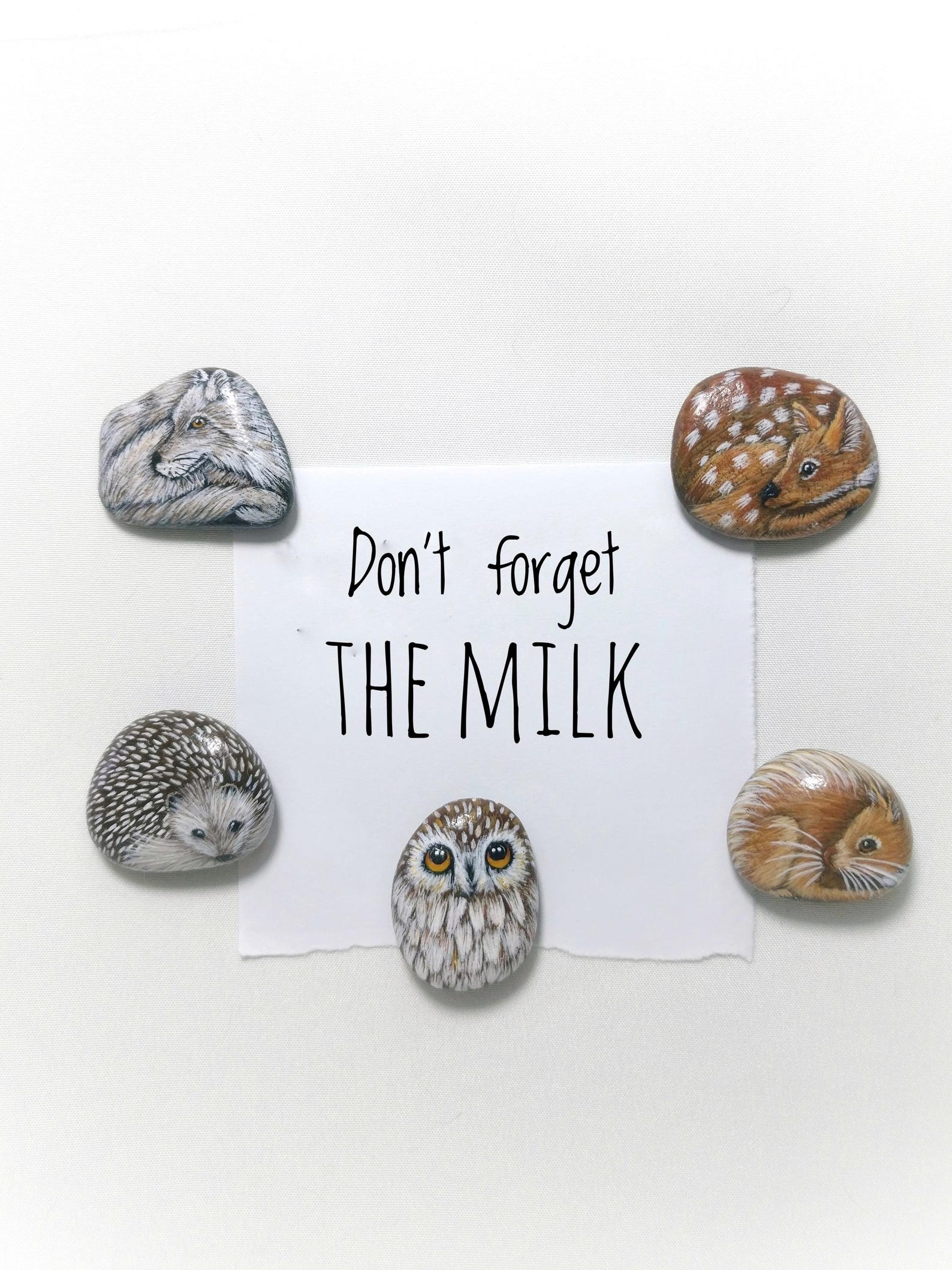 Set of Five Magnets Painted on Pebbles, Set of Fridge Magnets With ...