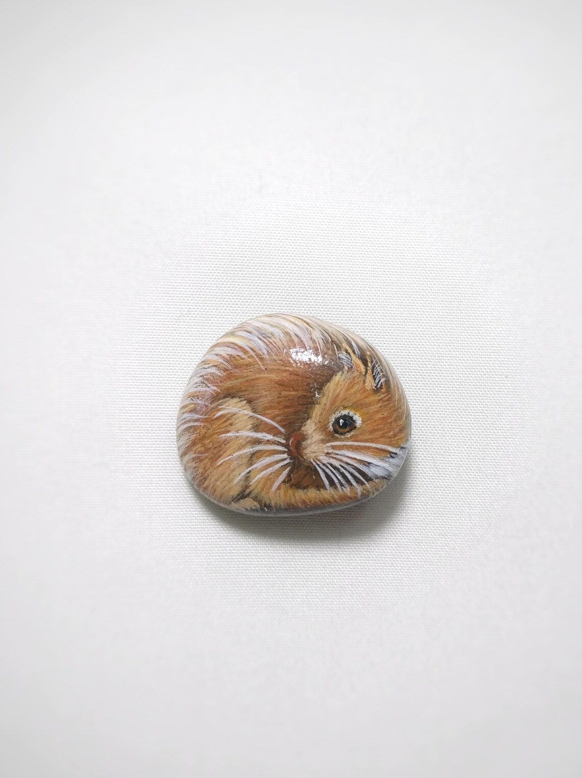 Set of Five Magnets Painted on Pebbles, Set of Fridge Magnets With ...