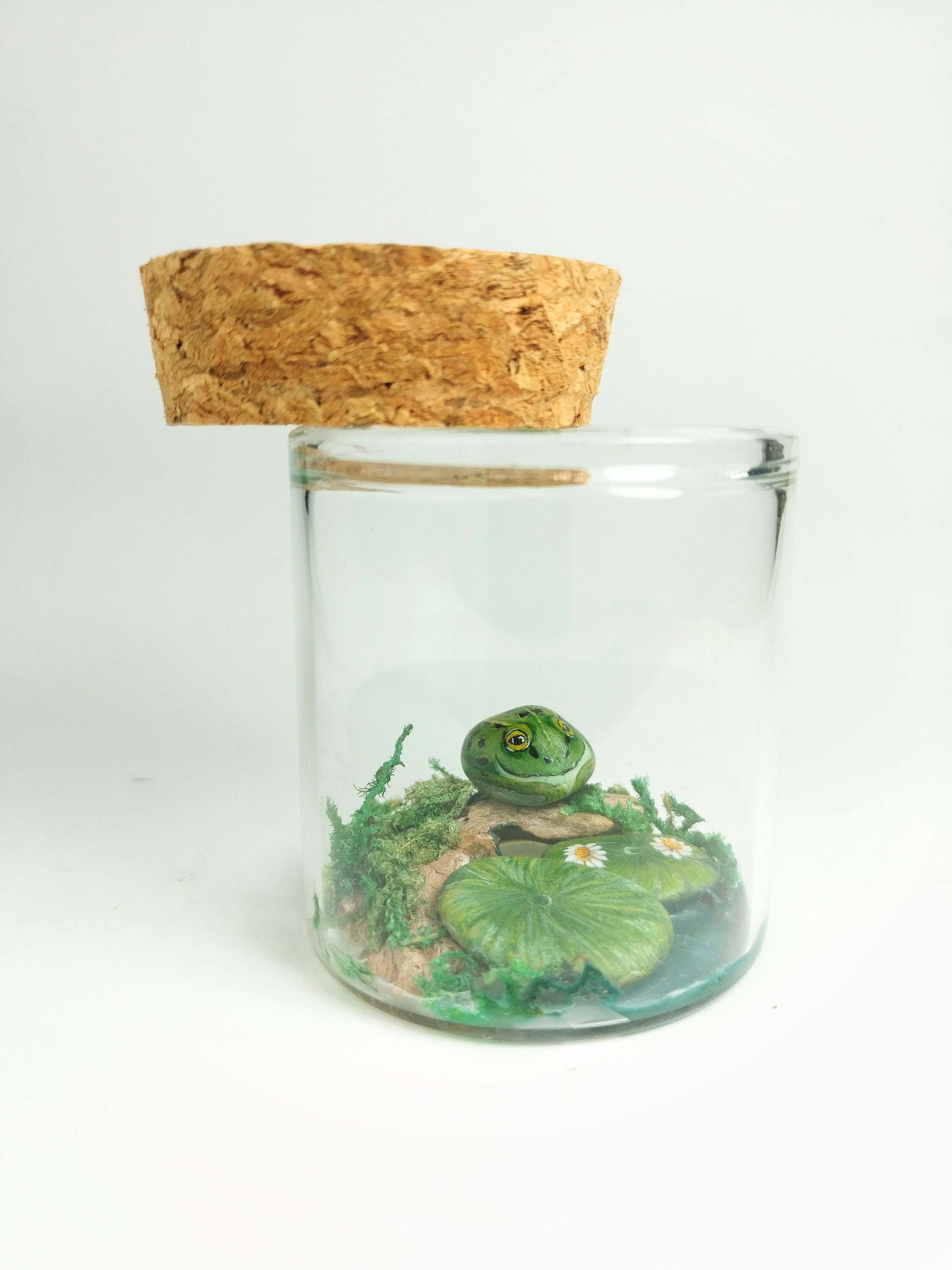 Diorama | Tiny Frog in a Pond | Miniature Pond | Natural Landscape in a ...