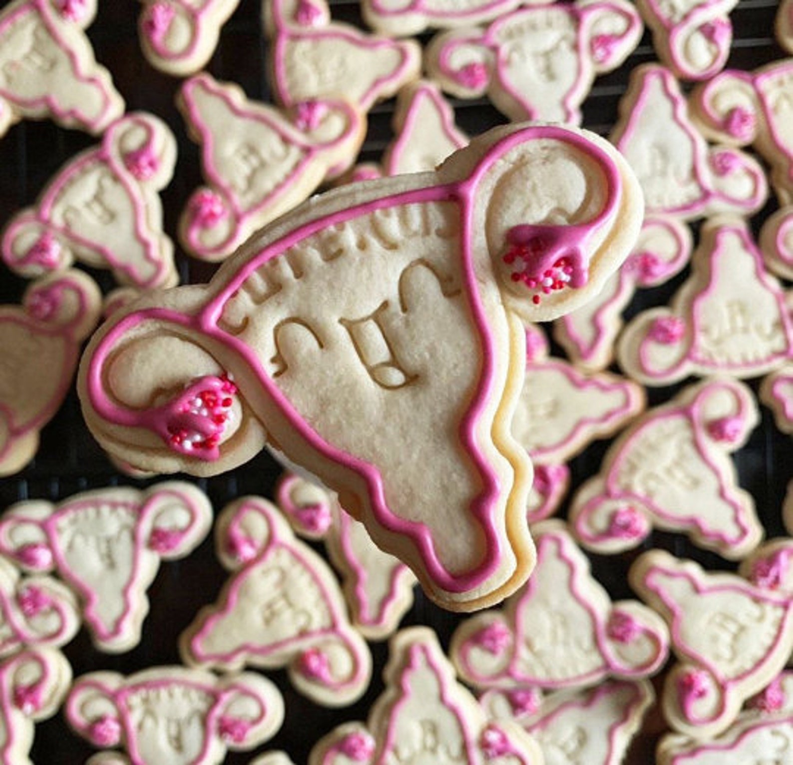 Uterus Cuterus Cookie Cutter Kawaii Cute Biscuit Baking Craft Supply ...