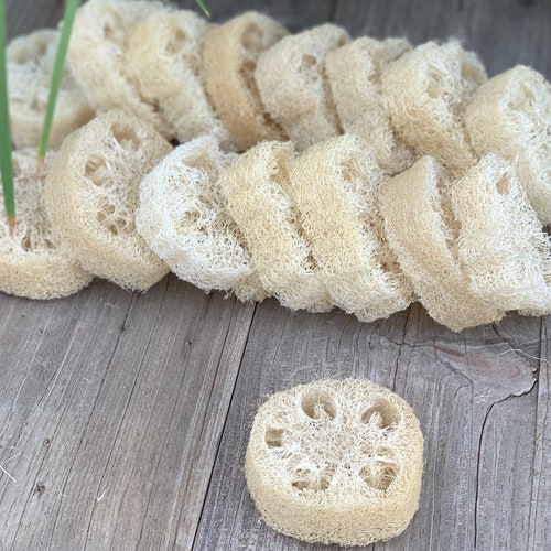 LOT of 25 Eco Friendly Natural Sponge Mayan Loofah - Etsy