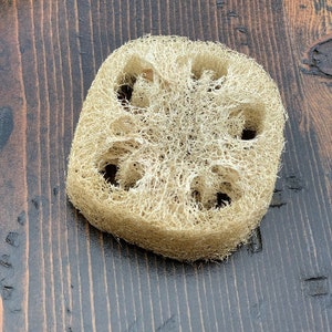 LOT of 25 - Eco Friendly, Natural Sponge, Mayan Loofah, Organic Luffa ...