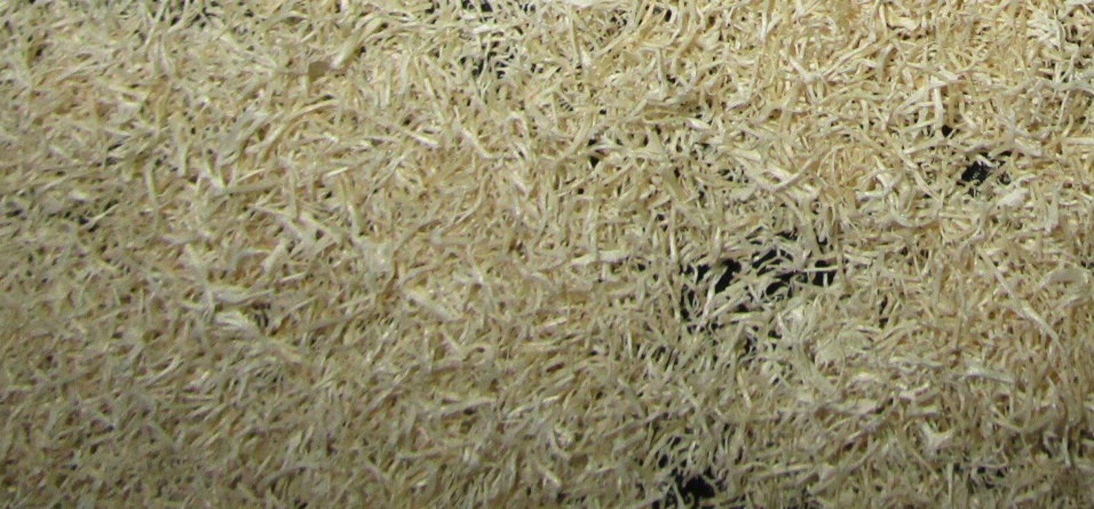 8 Oz. Pulverized Powder Loofah - Etsy