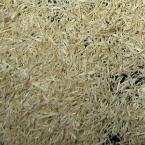 8 Oz. Pulverized; Powder; Loofah - Etsy