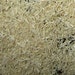8 Oz. Pulverized; Powder; Loofah - Etsy