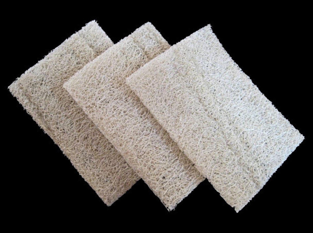 LOT of 5, 10 & 20 - Loofah, Loofa, Luffa, Eco, Organic, Natural Sponge ...