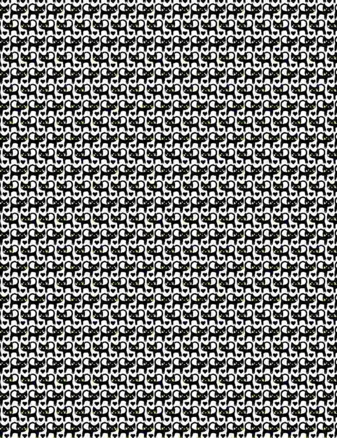Timeless Treasures Sundance - Black Cat With Yellow Eyes - Cat Fabric ...