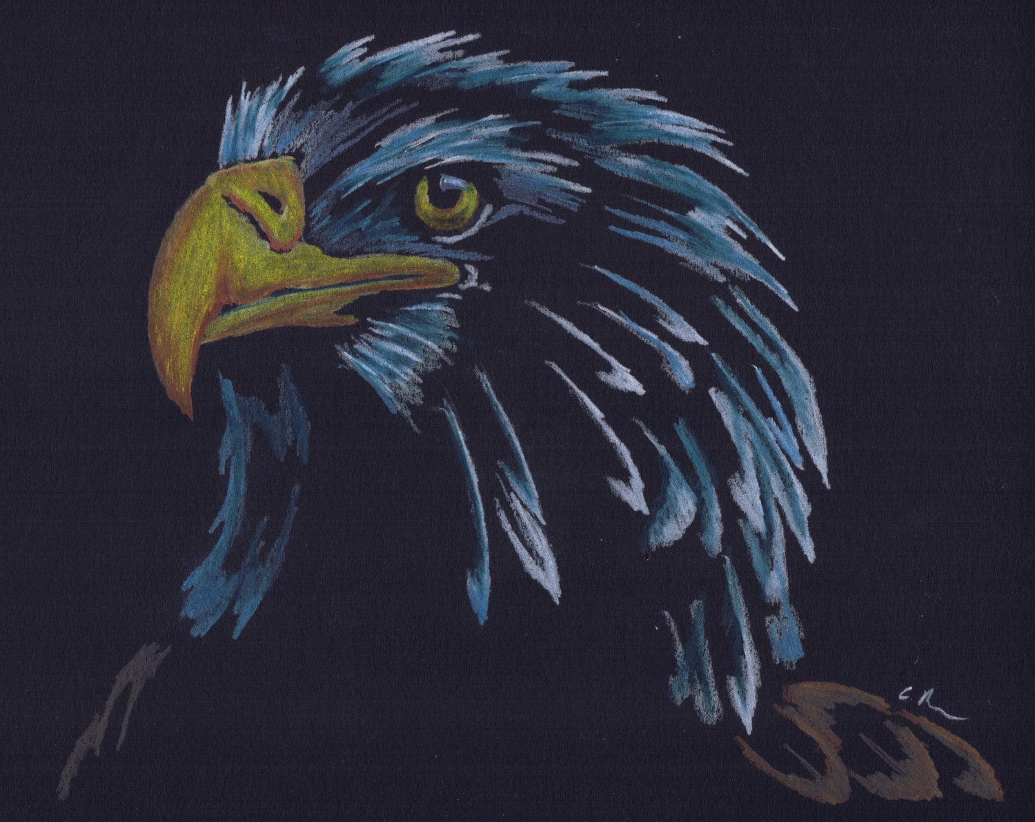 Original Bald Eagle Colored Pencil Drawing - Etsy