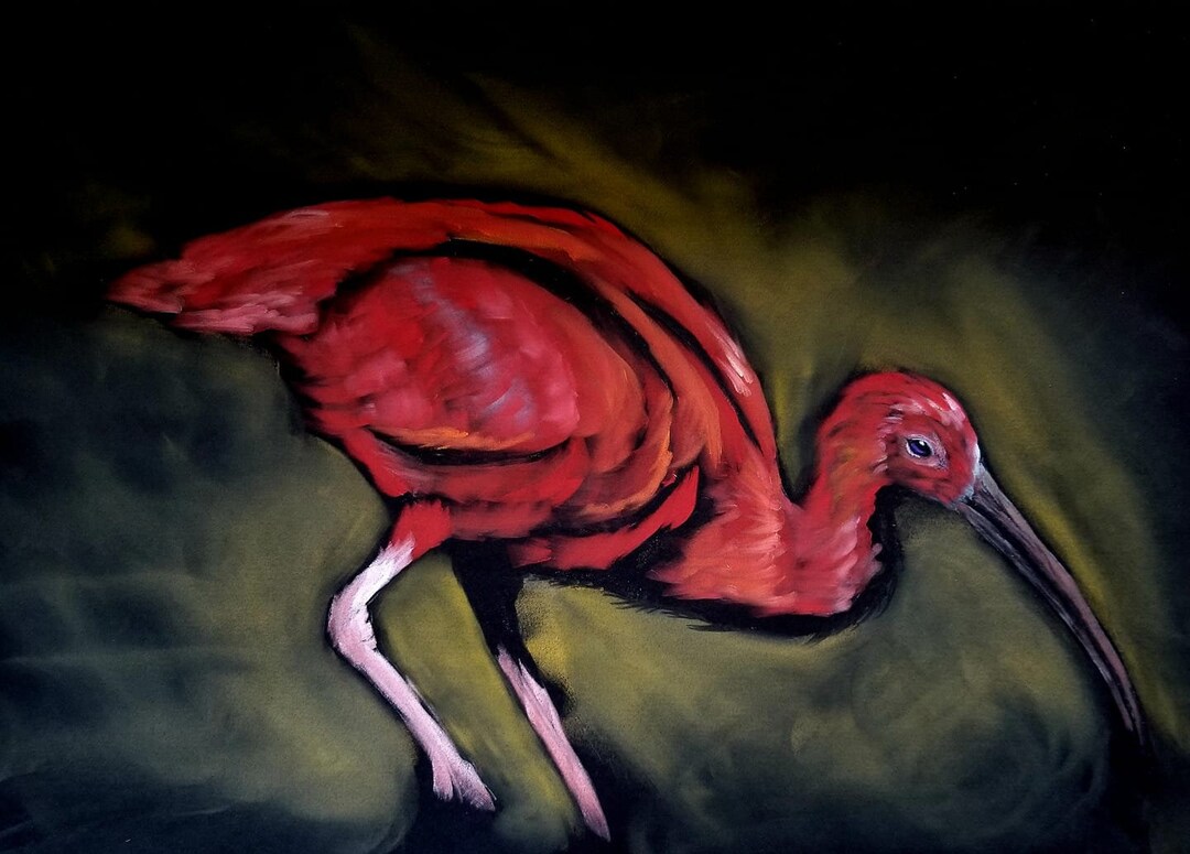 16x20" Scarlet Ibis Pastel Drawing - Etsy