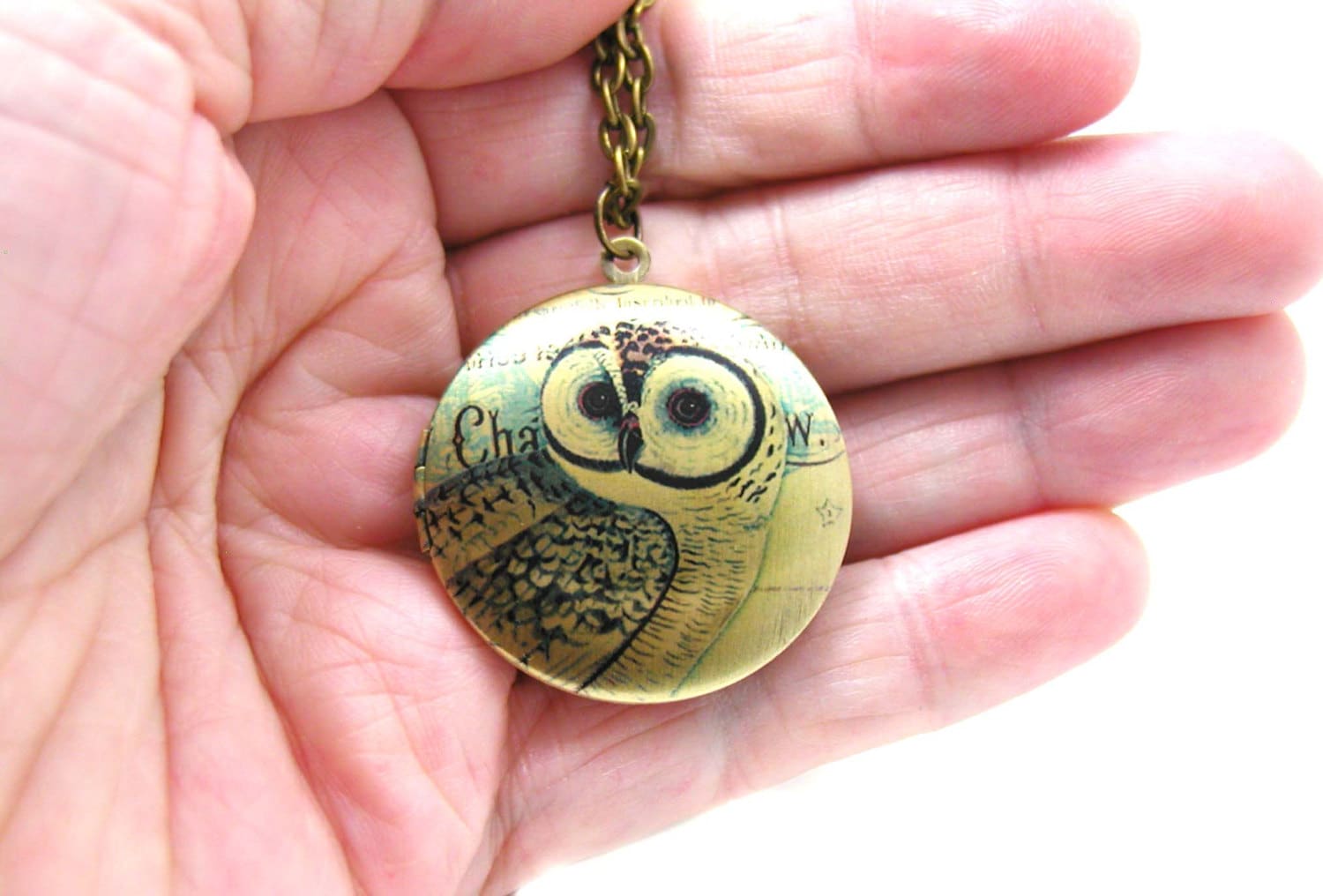 Owl Locket Necklace Charm Necklace Long Bronze Necklace Owl | Etsy