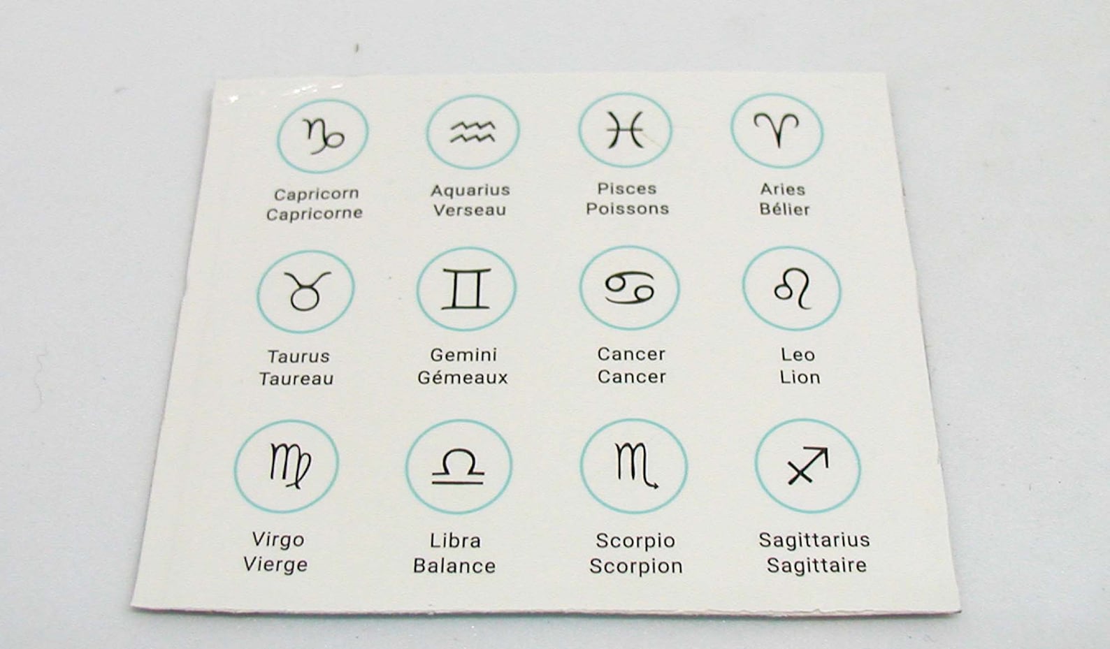 Walrus Necklace, Walrus Pendant, Walrus Jewelry, Walrus Charm ...