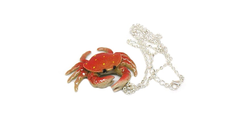 Crab Necklace Crab Jewelry Crab Shell Crab Pendant | Etsy