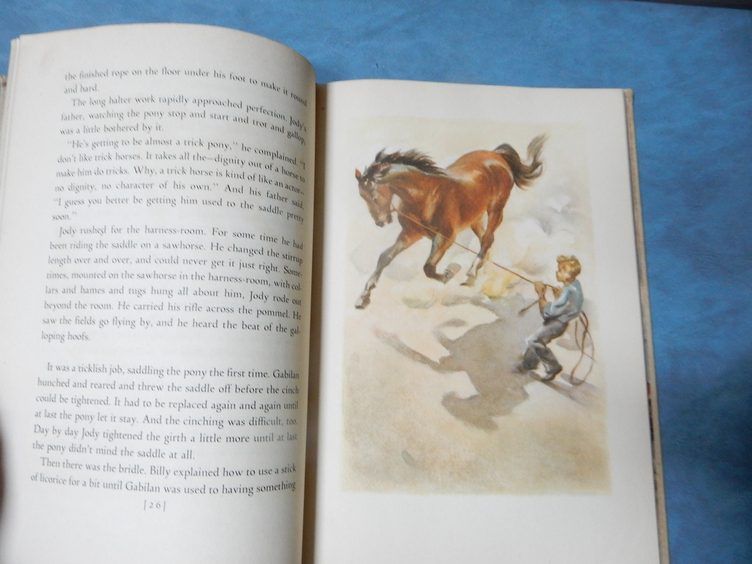 The Red Pony, John Steinbeck, 1945 Wesley Dennis Illustrations - Etsy