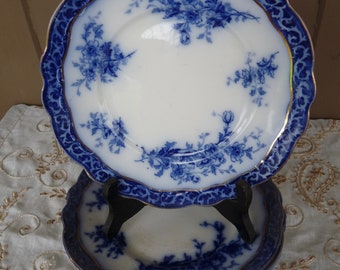 Antique Flow Blue Touraine Semi-porcelain Plate by Henry Alcock & Co ...