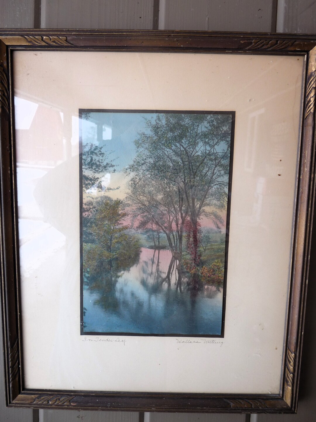 Wallace Nutting Hand-colored Photograph "in Tender Leaf" - Signed and ...