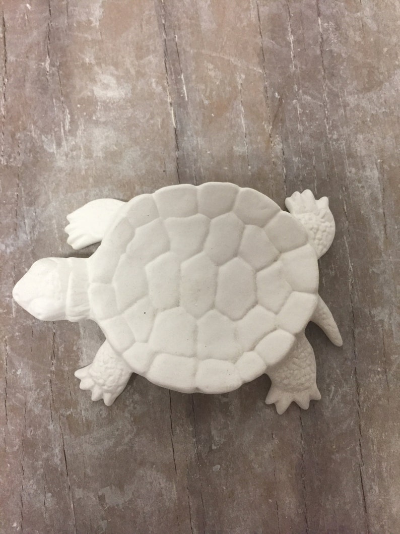 Ceramic Bisque Small Flat Turtle Ready to Paint - Etsy Hong Kong