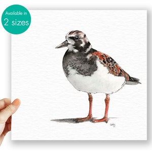 Shore Bird Illustration Art Print, Minimal Print, Turnstone Coastal ...