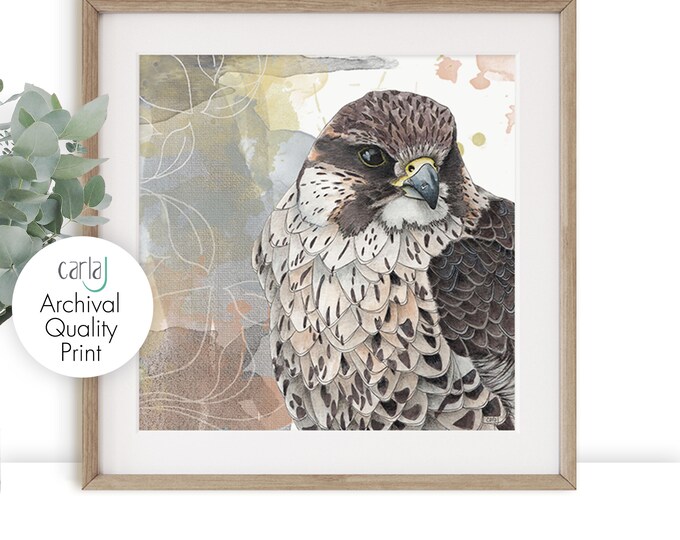 1969 Duck Hawk Print, Peregrine Falcon Wall ART, Bird of Prey, Vintage ...