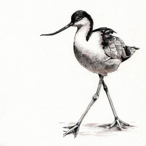 Birds Poster Wading Bird Wall Art Print Coastal Birds - Etsy