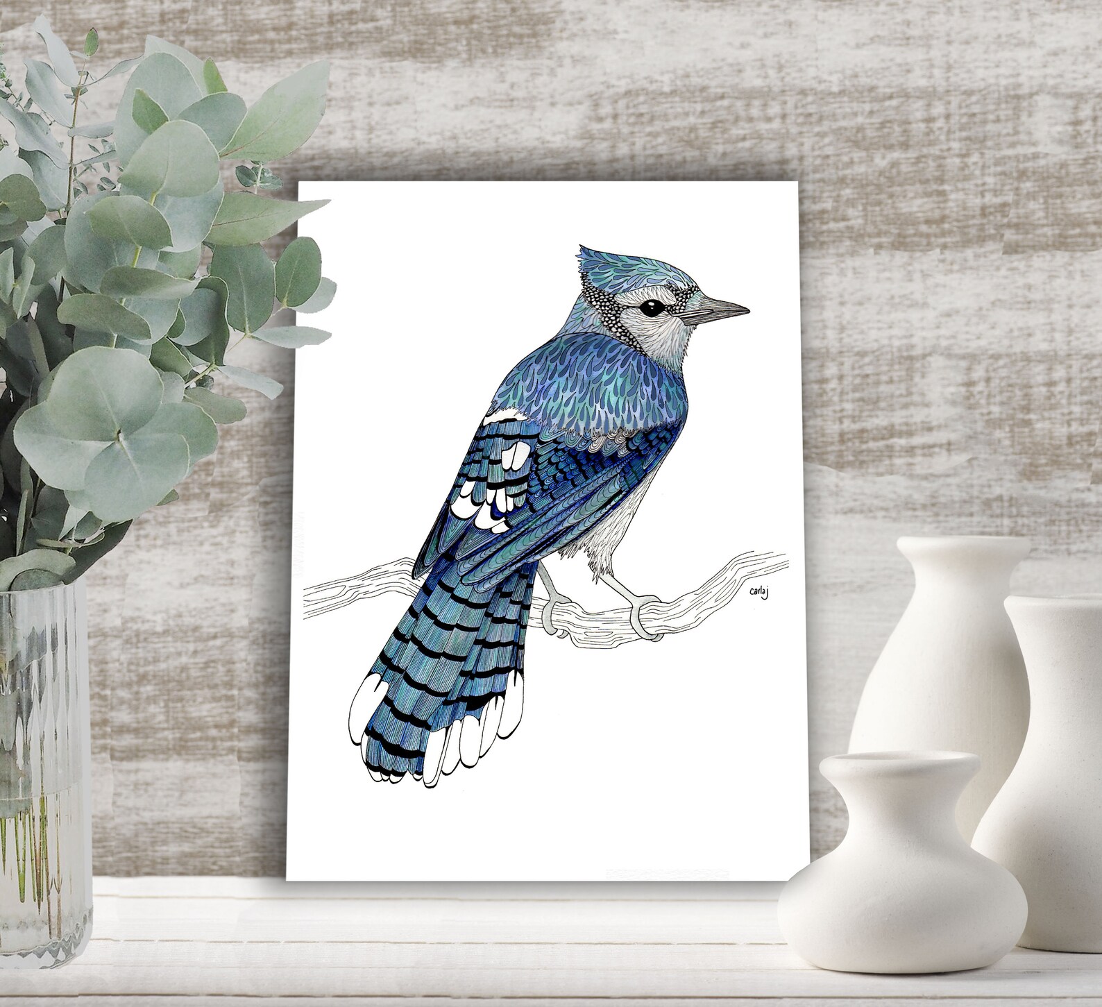 Blue Jay Bird Illustration Art Print Blue Wall Art Bird Lover - Etsy