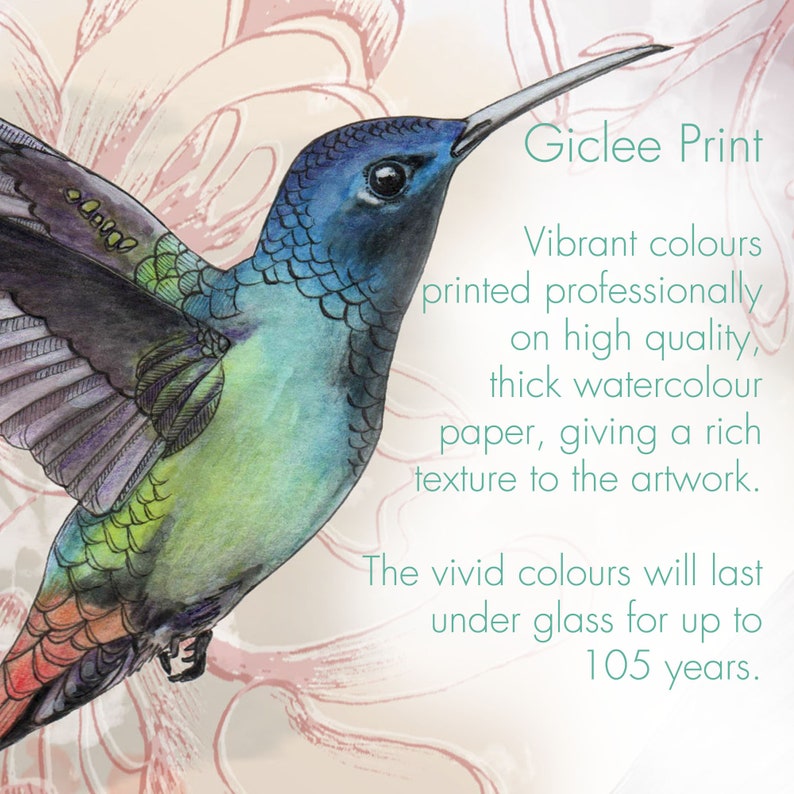 Hummingbird Art Print Hummingbirds Wall Decor Pink Prints - Etsy
