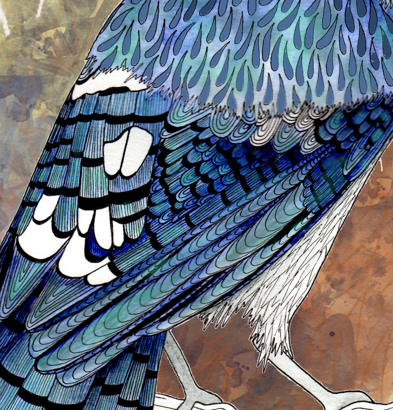 Blue Jay Bird Print, Nature Art Illustration Print, Bird Picture Blue ...