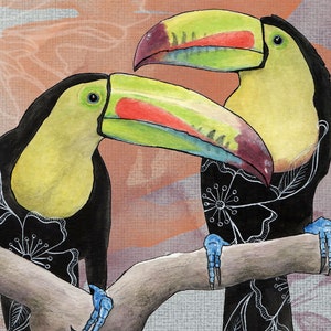 Exotic Bird Print Toucan Art Tropical Wall Art Colourful - Etsy