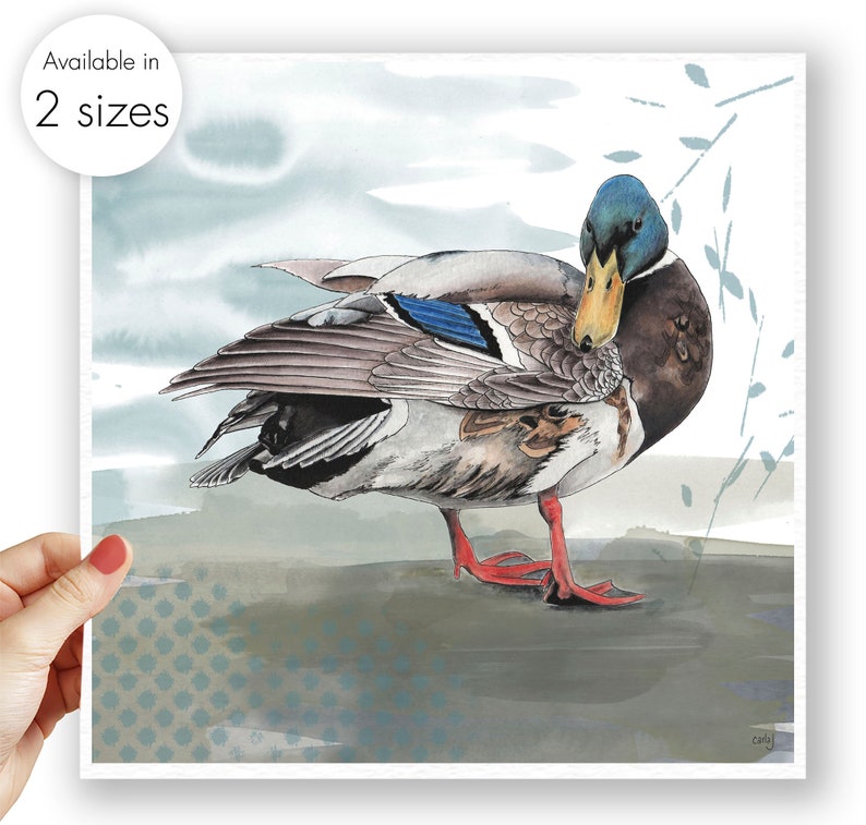 Mallard Duck Print Modern Farmhouse Wall Art Nature Lover - Etsy