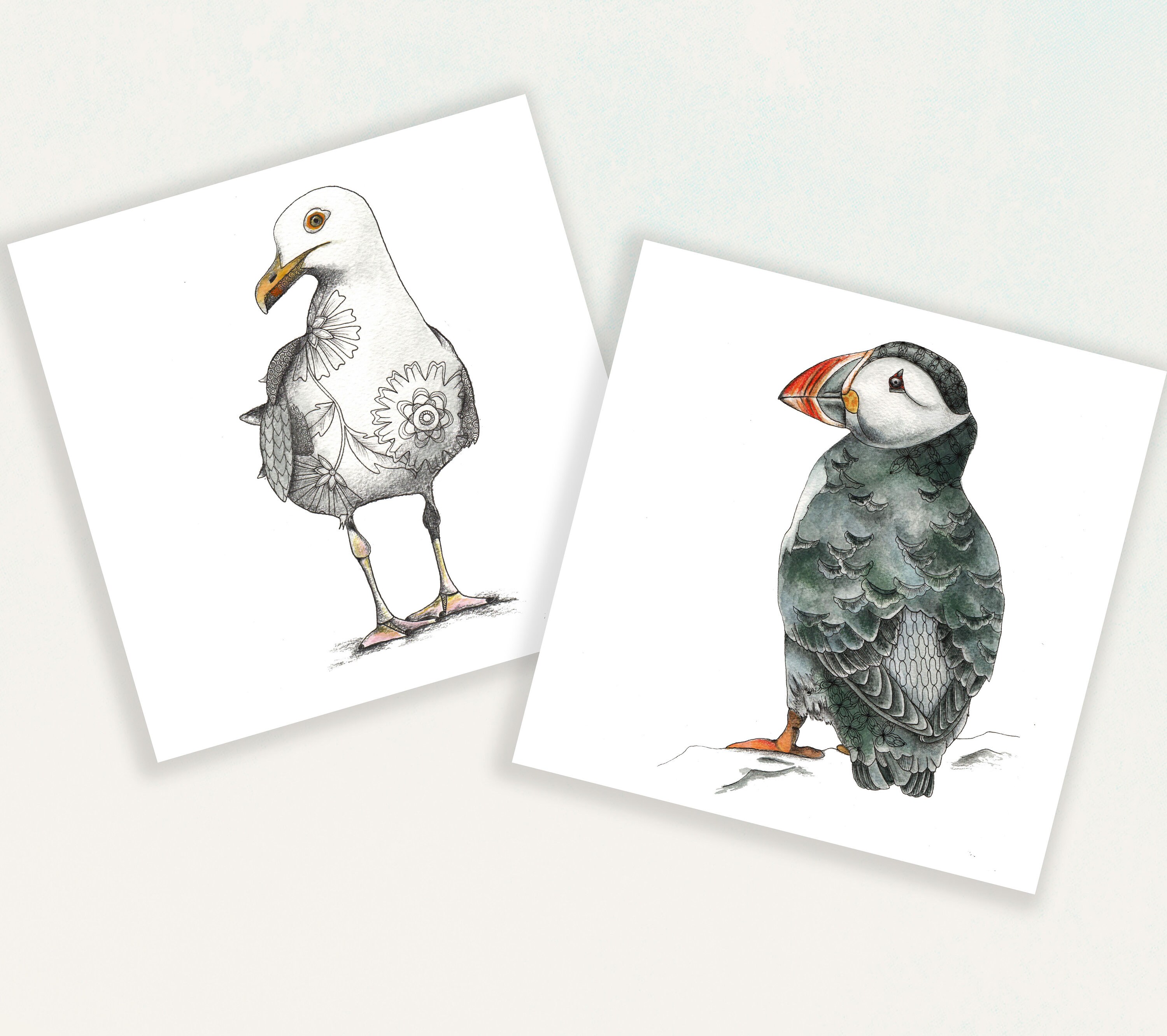 Puffin Card and Seagull Card Set of 2 Sea Birds Art Cards | Etsy