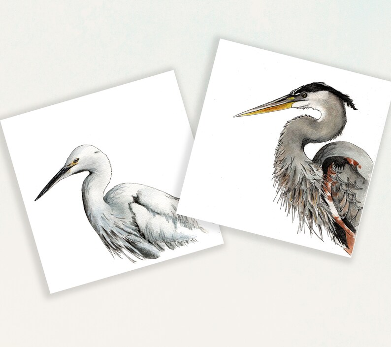 Wading Bird Art Cards Pack of 2 Blank Cards Grey Heron - Etsy
