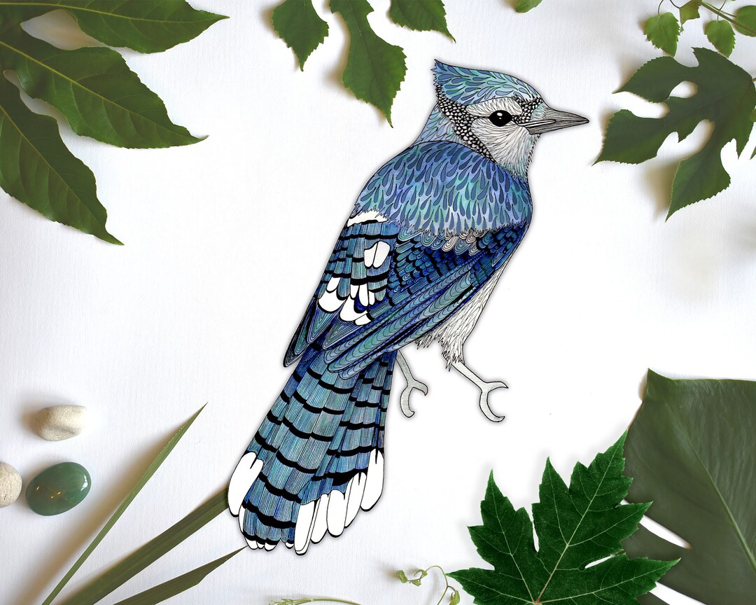 Bird Stickers, Blue Jay, Bird Decal, Bird Vinyl Sticker, Bird Decals ...