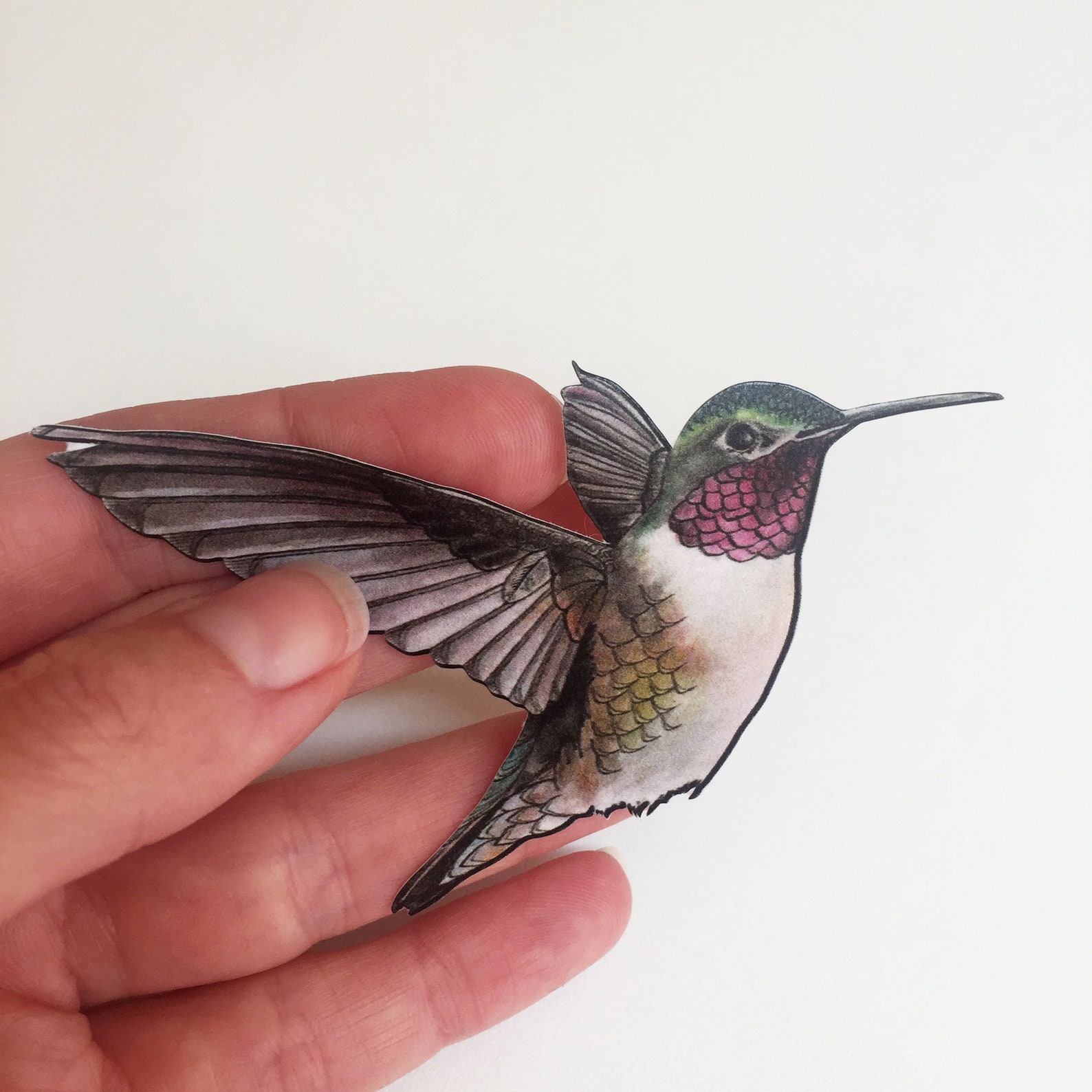Hummingbird Vinyl Wall Stickers, Removable Nature Art Decal (set of 2 ...