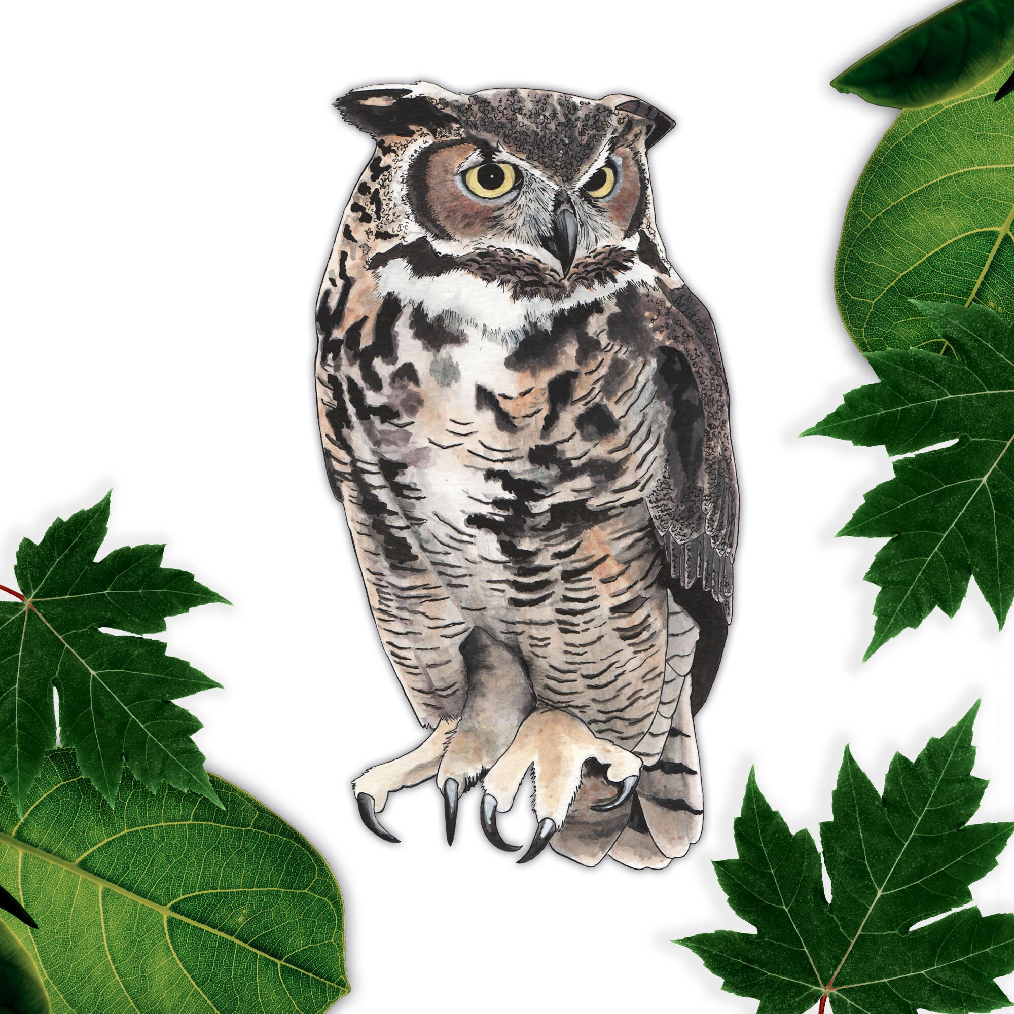 Large Owl Wall Decal Vinyl Wall Sticker Owl Lover Gift - Etsy