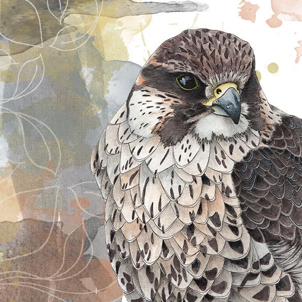 Falcon Art Print: Bird of Prey Illustration, Modern Farmhouse Decor - Etsy