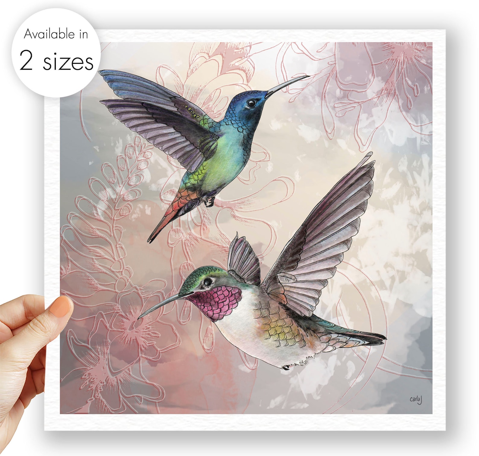 Hummingbird Art Print Hummingbirds Wall Decor Pink Prints - Etsy