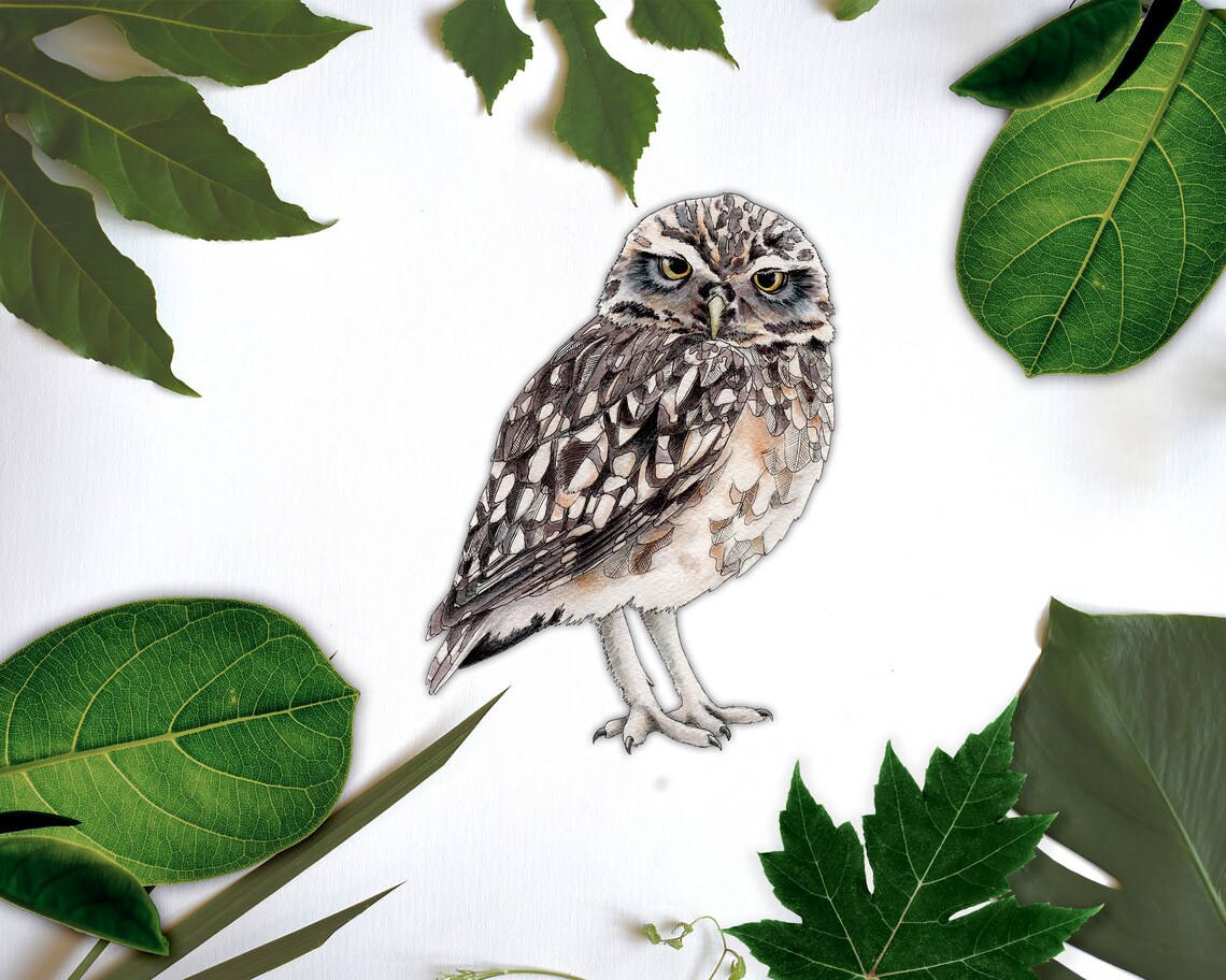 Owl Wall Decal Owl Vinyl Wall Sticker Owl Gifts Nature - Etsy