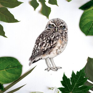 Owl Wall Decal, Owl Vinyl Wall Sticker, Owl Gifts, Nature Vinyl Wall ...