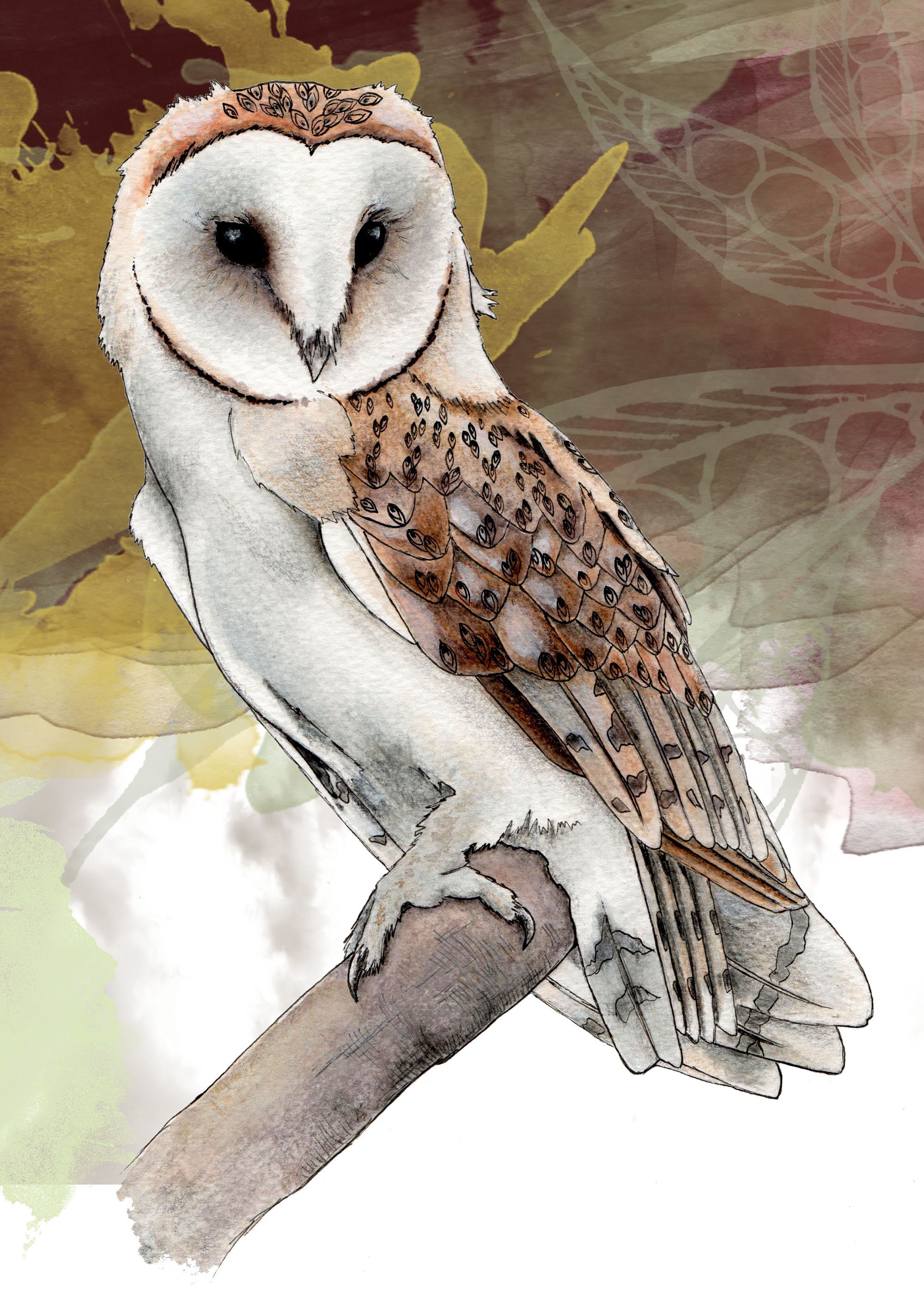 Miniature Barn Owl Print Bird of Prey Tiny Prints ACEO in | Etsy