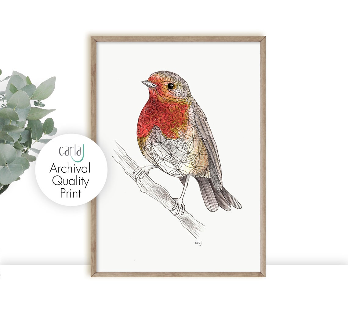 Robin Red Breast Art Print Robin Gifts British Garden Birds - Etsy UK